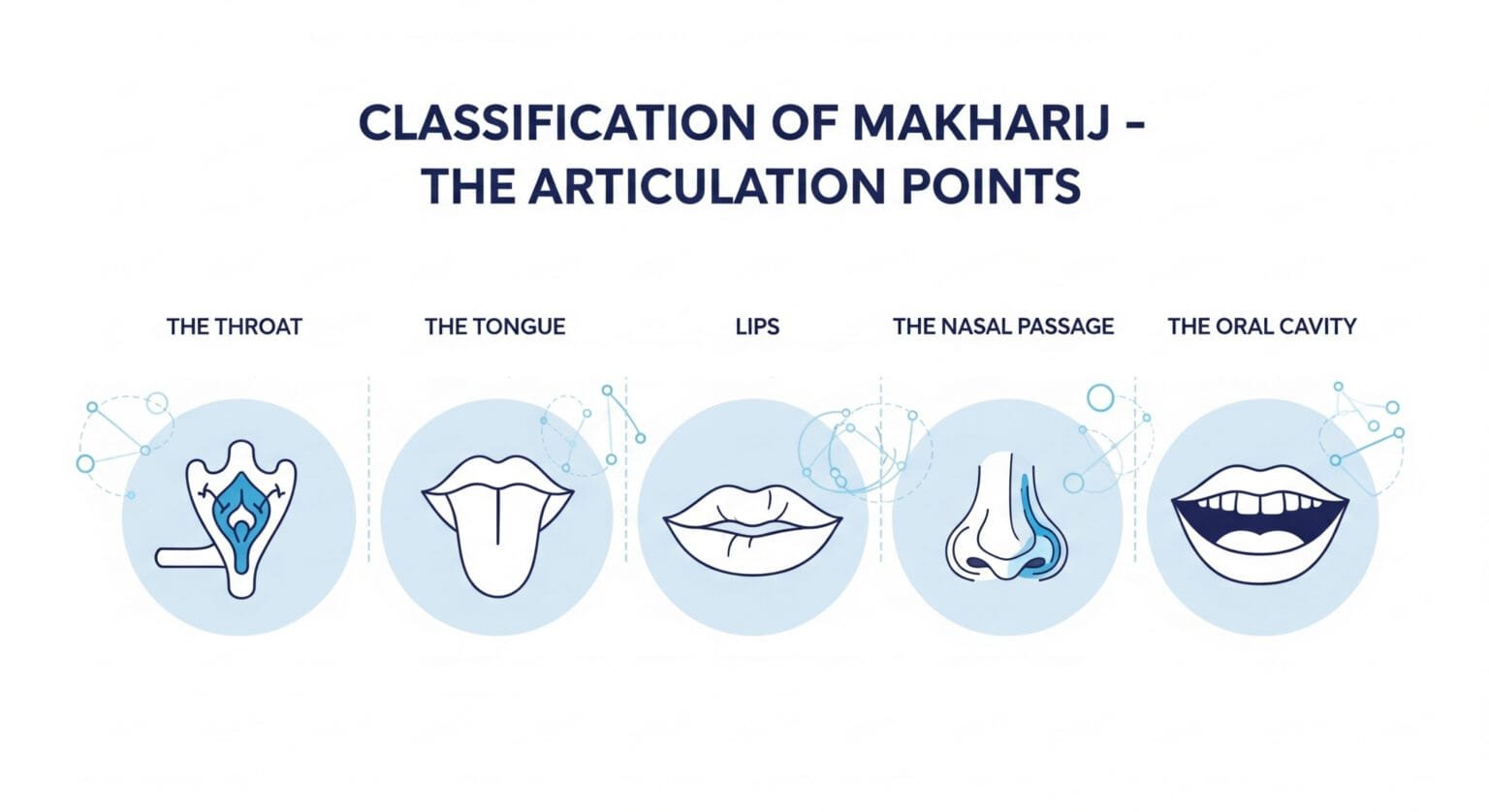 What Is Makhraj In Tajweed? Makharij Of Arabic Letters (Articulation)